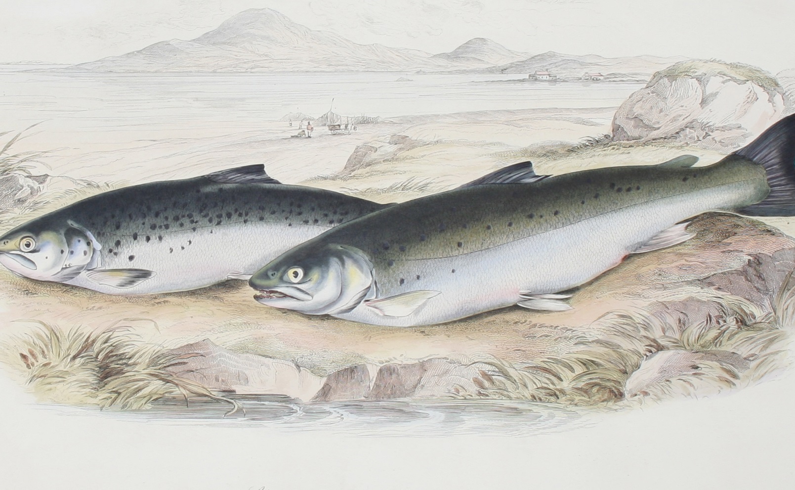 Herman H.J. Lynge & Søn A/S